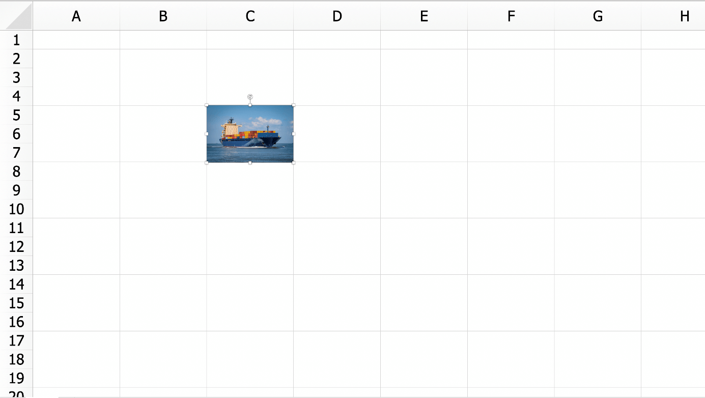How to insert a picture in an Excel cell: The easy guide - IONOS
