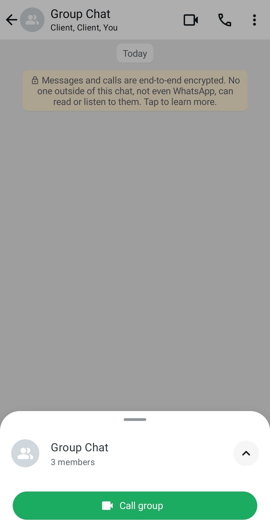 How to start, enter, and ignore WhatsApp group calls - IONOS UK