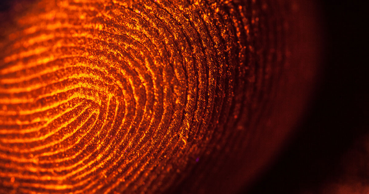 Canvas Fingerprinting Online Tracking Without Cookies IONOS