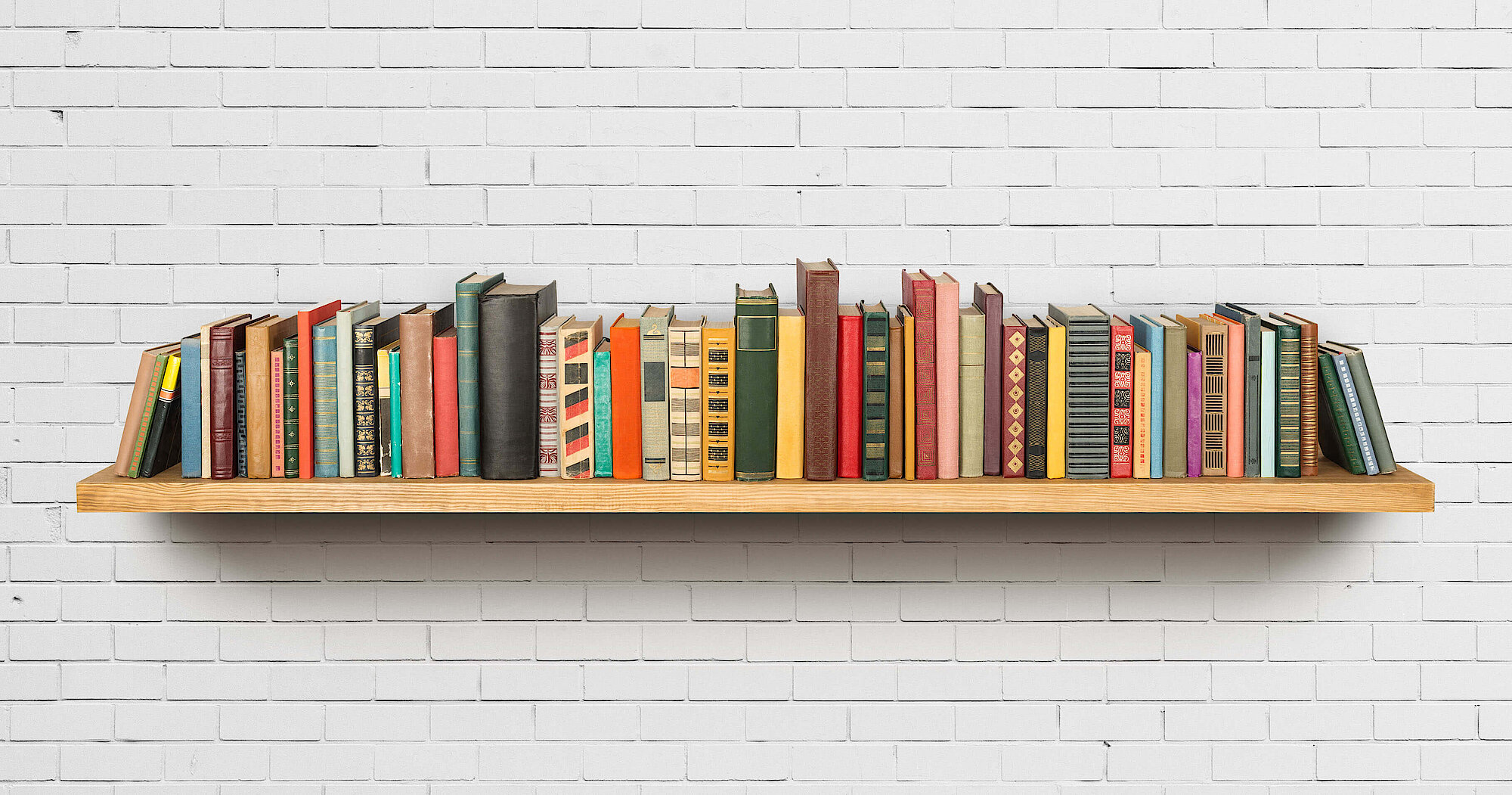 Reading habits on the Web - IONOS UK