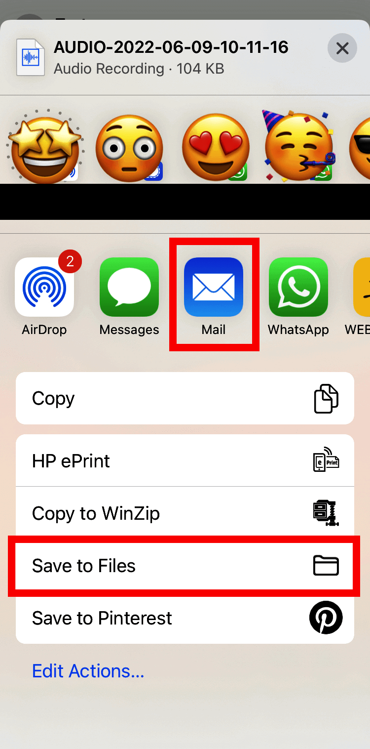 How to save audio from WhatsApp - IONOS UK