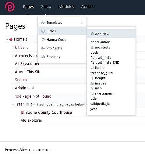 ProcessWire - The WordPress alternative for developers - IONOS UK