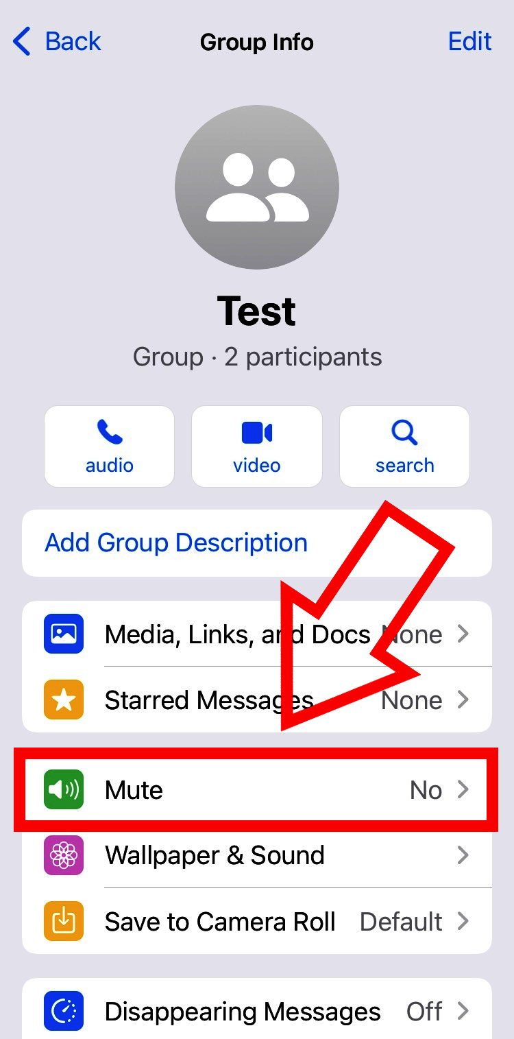 20 WhatsApp tricks for a great IM experience - IONOS UK