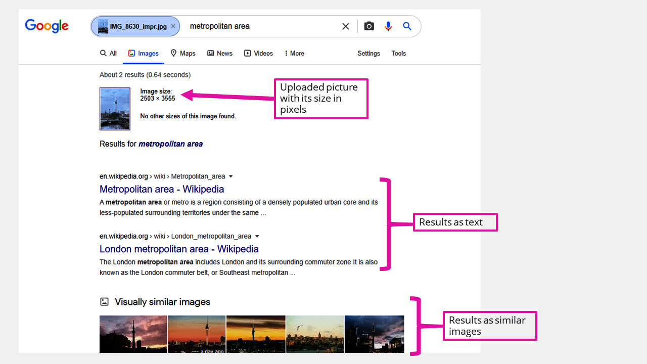 Reverse image search: search by image with Google - IONOS UK