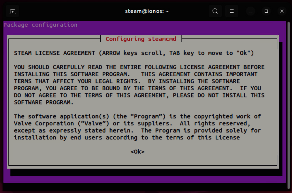 How to create a Sons of the Forest Ubuntu server - IONOS UK