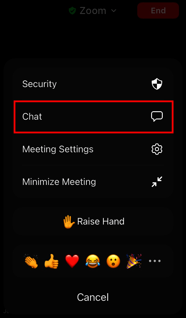 Using Zoom Chat: How to chat in a Zoom meeting - IONOS UK