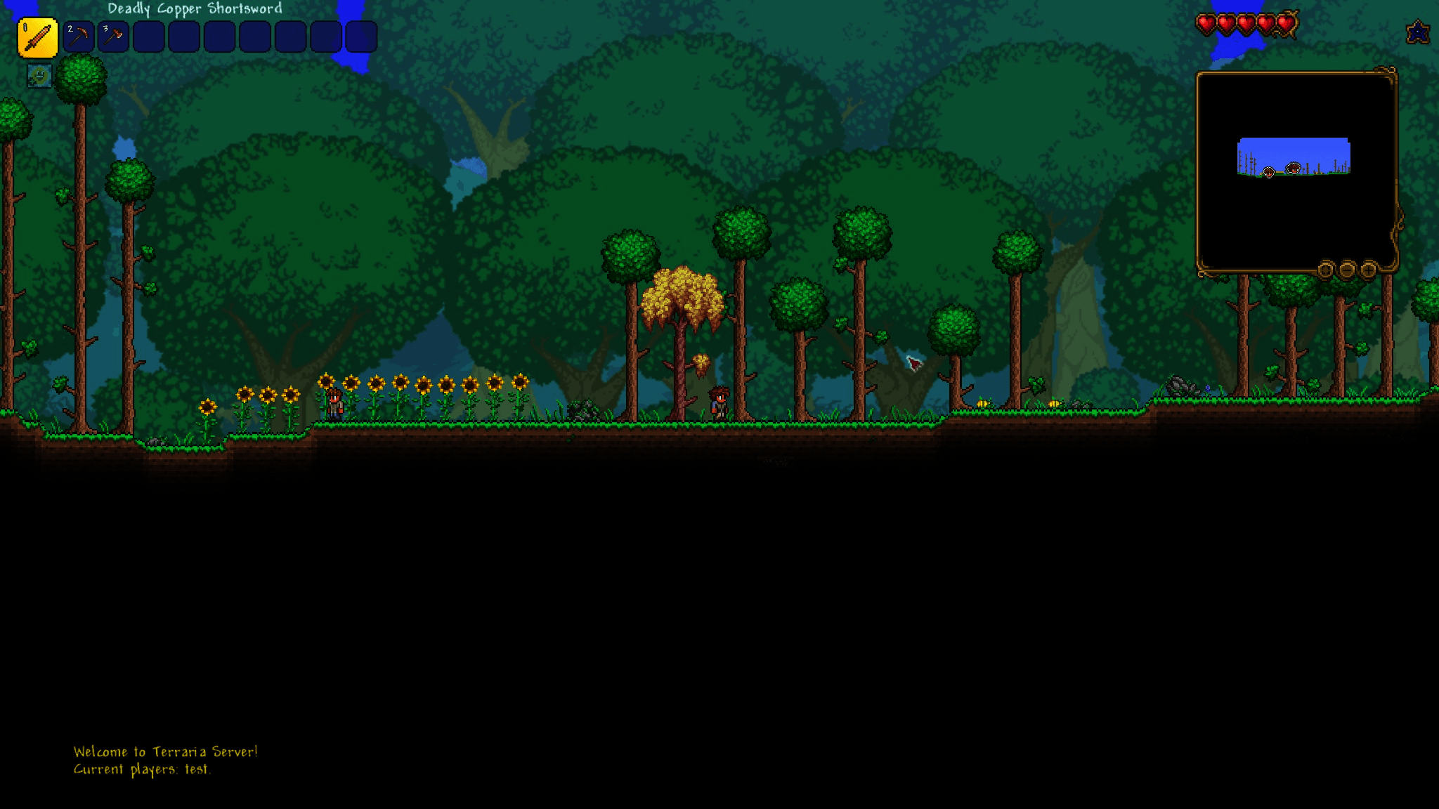 Terraria server: Hosting and Installation | Tutorial - IONOS UK