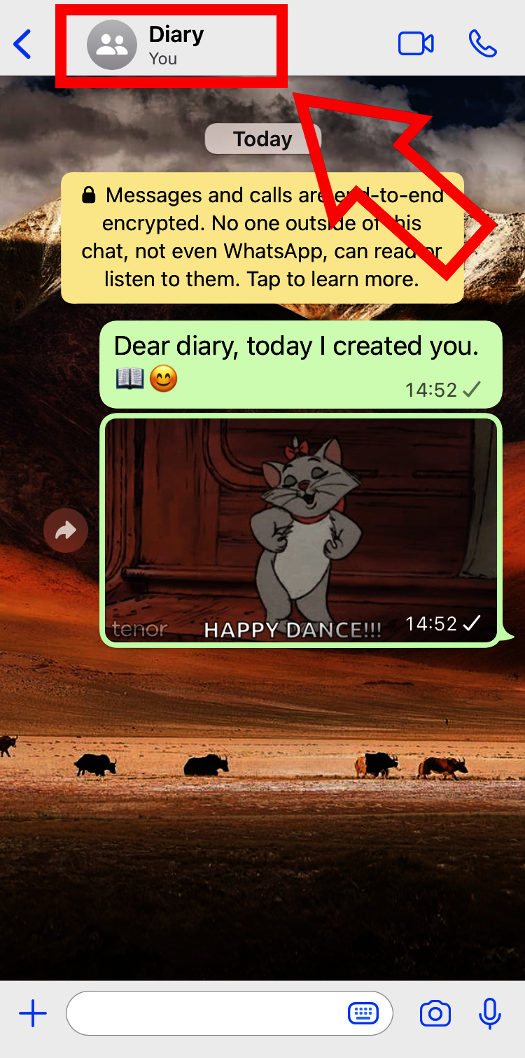 20 WhatsApp tricks for a great IM experience - IONOS UK